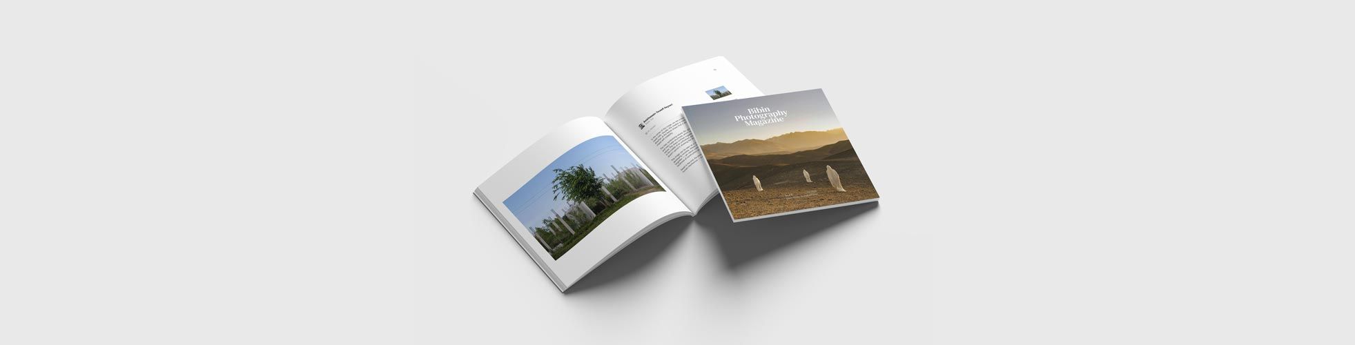 Bibin Photography Magazine